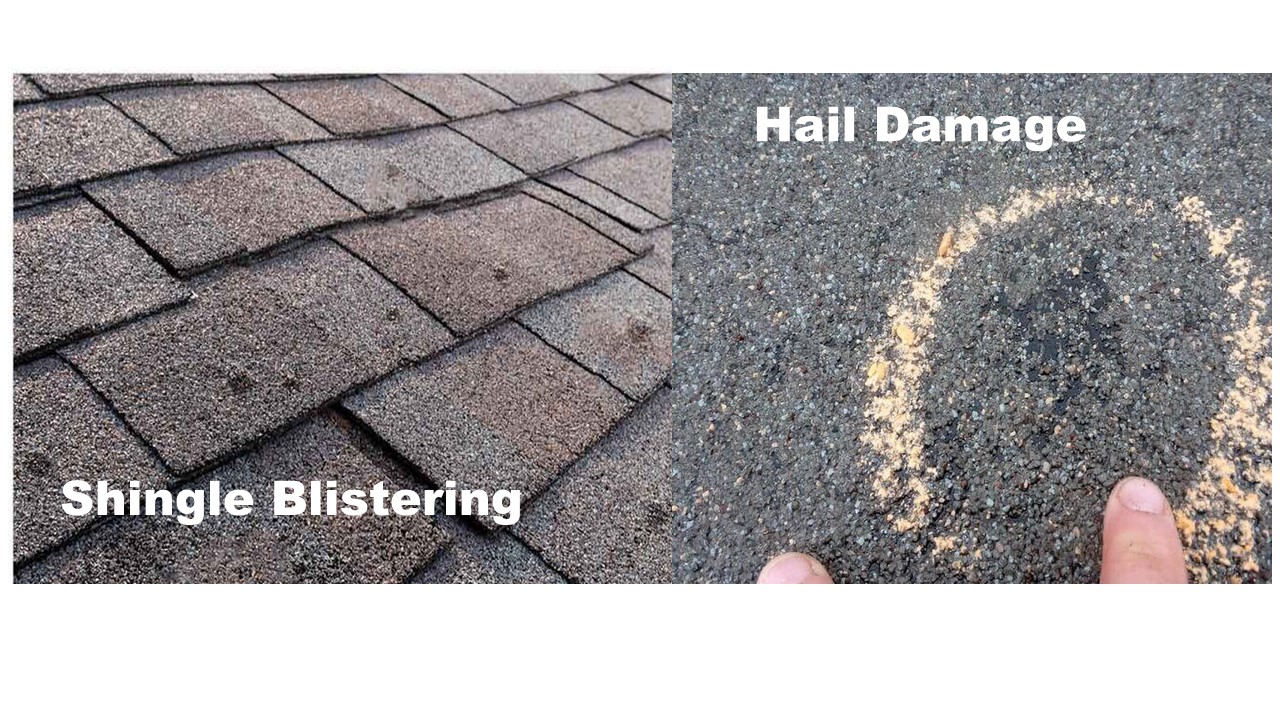Hail Damage vs. Shingle Blistering - Viking Contractors, LLC